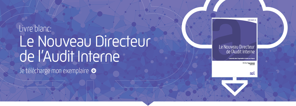 Download Livre Blanc, Le Nouveau Directeur de l’Audit Interne